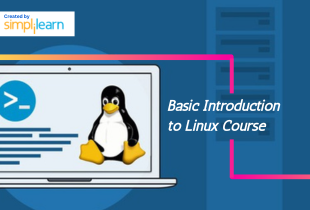 India's Leading Women Empowerment Organization - Shekunj.com